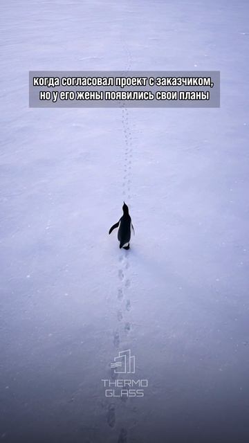 Ну и как не уйти в закат? #тренд #юмор #прикол #смешно #мем #работа #рекомендации #пингвин #ремонт