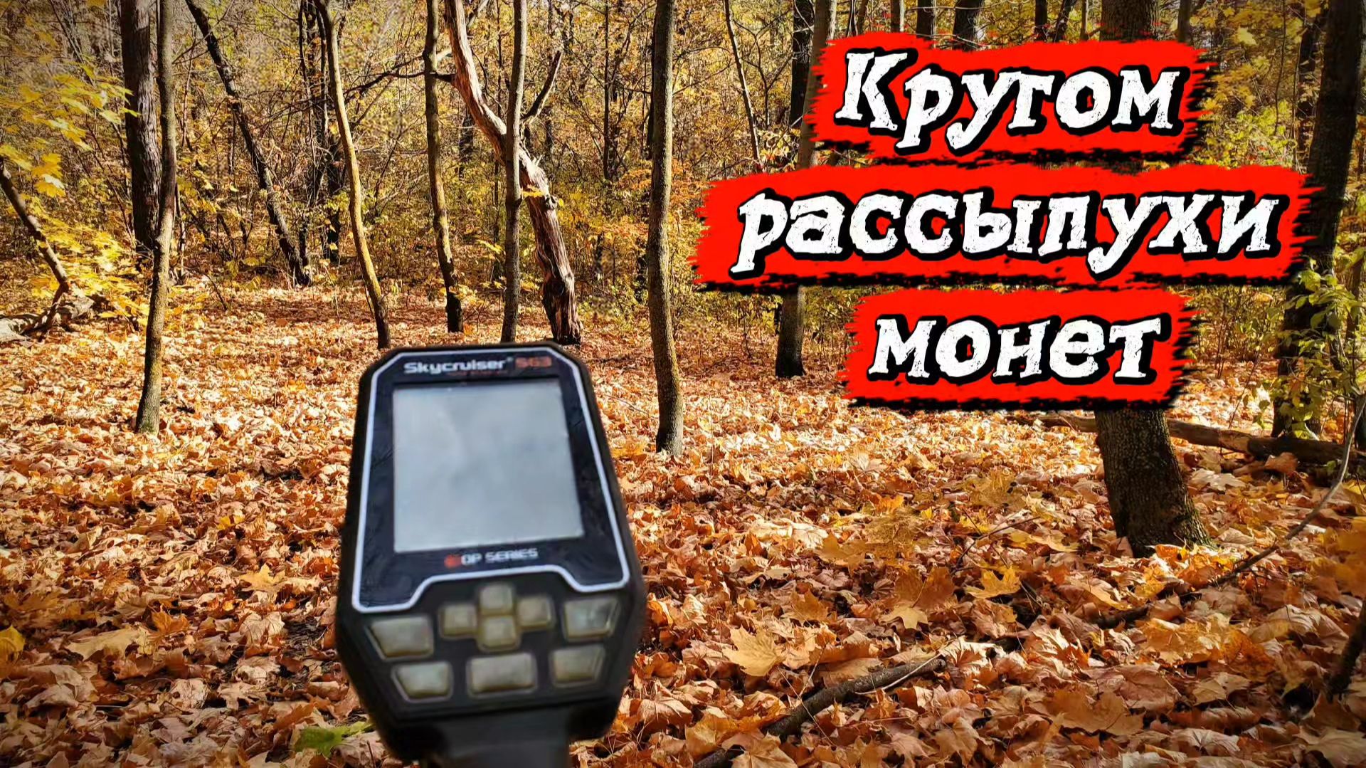 Копаю россыпи монет у дома лесника.