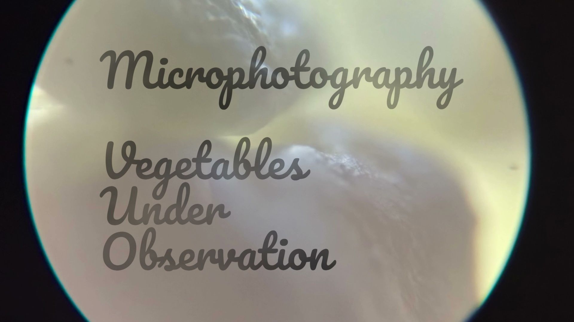 Microphotography Vegetables Under Оbservation