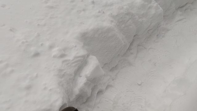 чистим поселковую дорогу