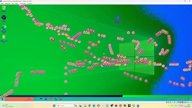 запускаем salinewin.exe на вм не рекомендовано эпилептикам!