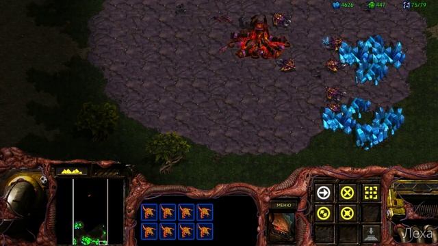 StarCraft Remastered 21