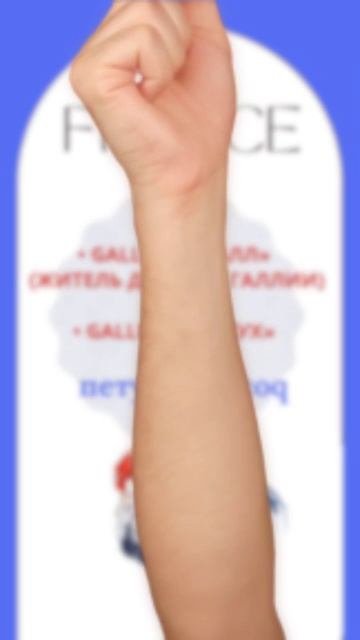 Символы Франции | А вы знали?