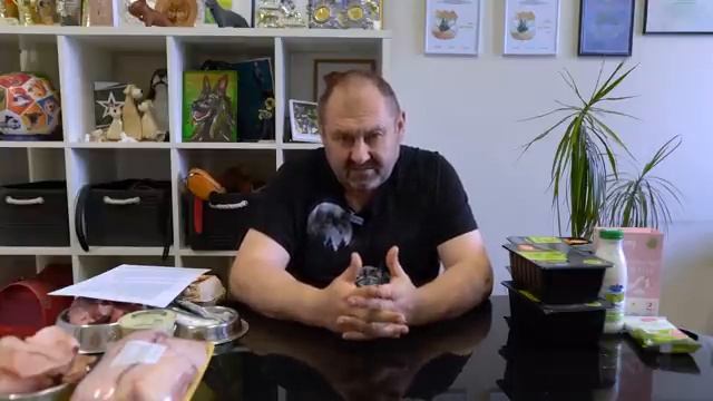 Чем нужно кормить собаку ПОЧЕМУ ВЫ КОРМИТЕ СОБАКУ НЕПРАВИЛЬНО СОВЕТЫ КИНОЛОГА по