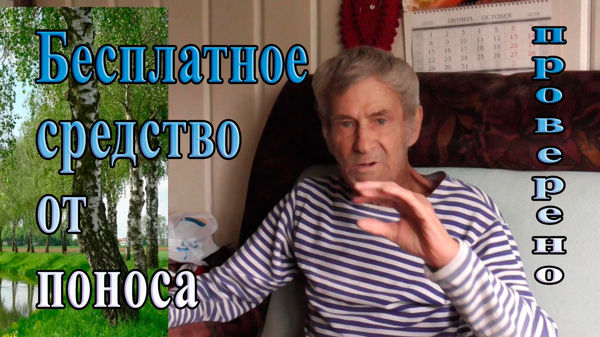 Натуральное средство от поноса для людей и собак