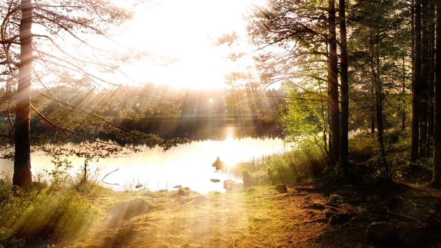 Молекулярная музыка — Углерод 碳 | Винтаж: Ностальгия по Ничему