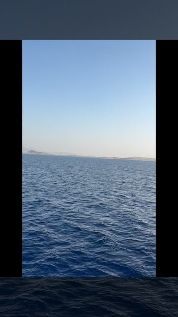 Красное море, Шарм-эль-Шейх, по пути на Тистельгорм, Thistlegorm