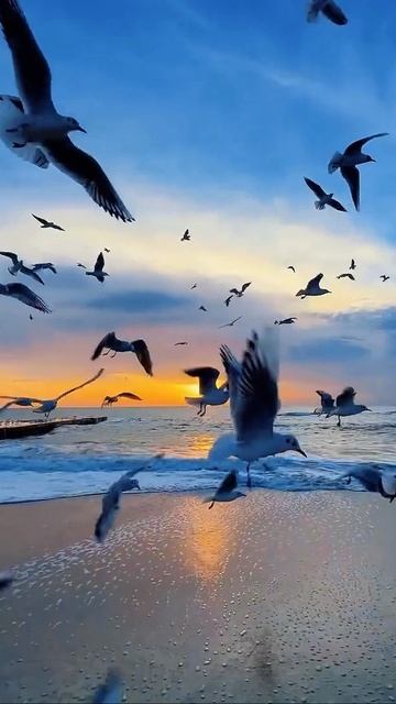 Красивый закат на море!