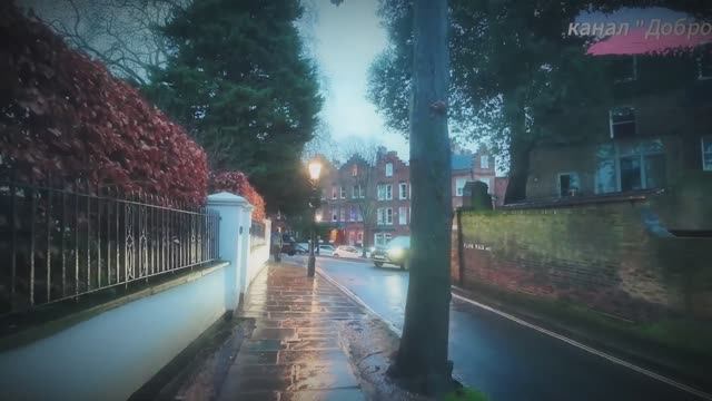 ☔️ Прогулка по дождливому Лондону через Хэмпстед-Виллидж на закате 4K