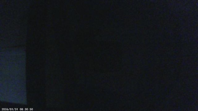 Трезвон к Евангелию на Божественной Литургии