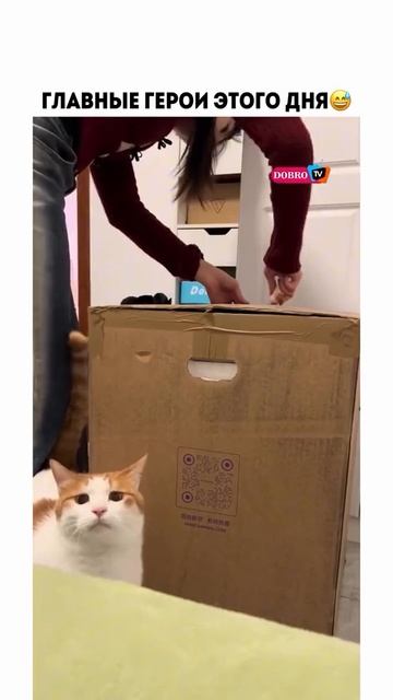 Неожиданный гость в кадре