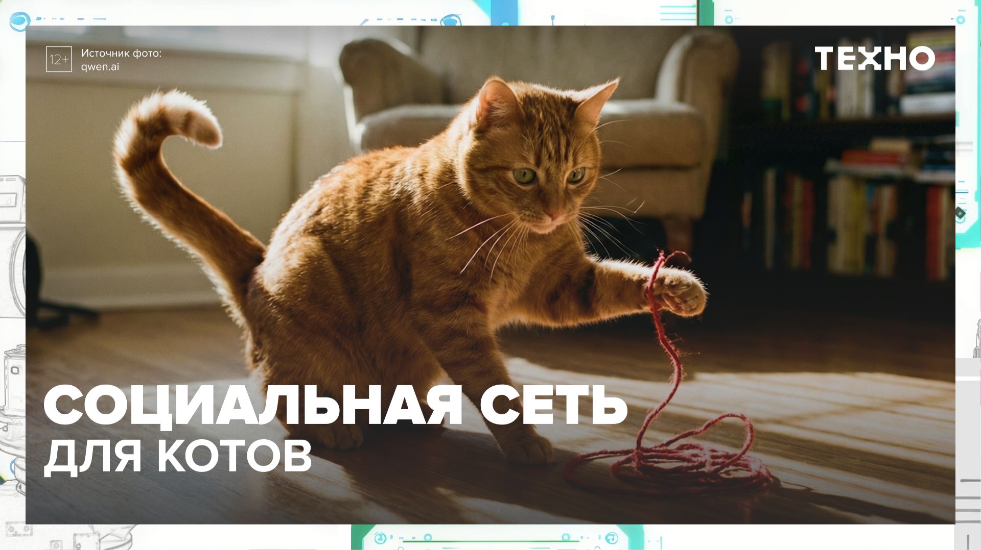 Для котов появилась своя социальная сеть | Техно — Москва 24