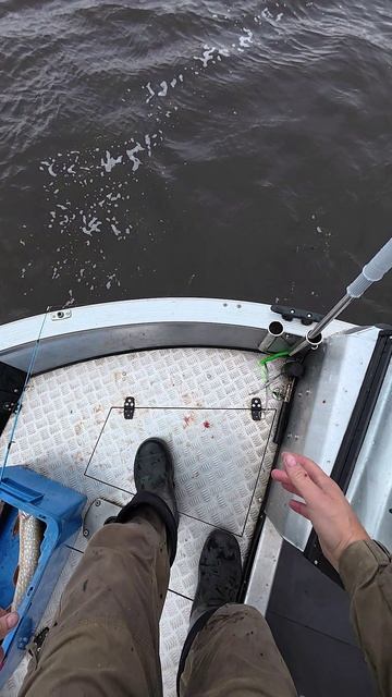 Срочно достать и Усыпить!!!