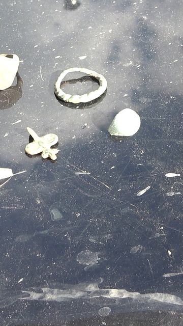 Такие разные находки #shorts #находки #metaldetecting #другаяжизнь #старина