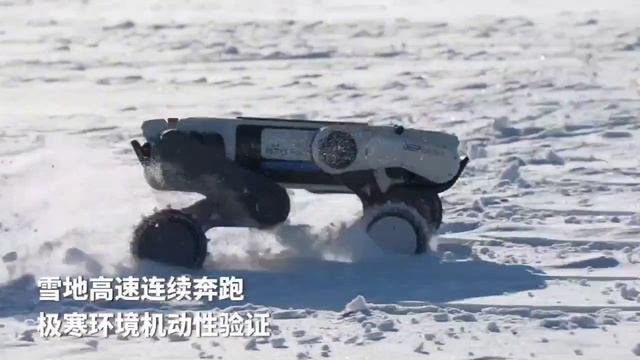 Робособака зимой