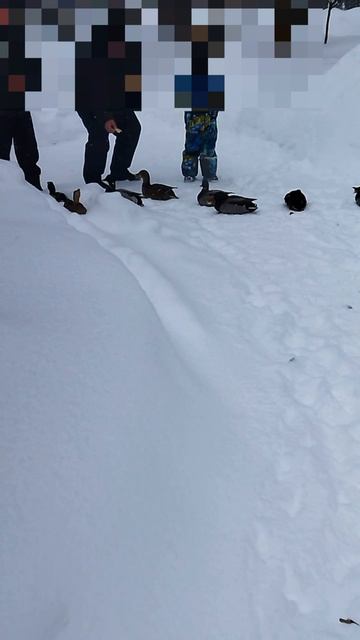 Зачем нам юга и здесь не плохо