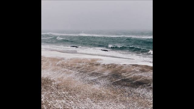 Warmth - Circular/Swim