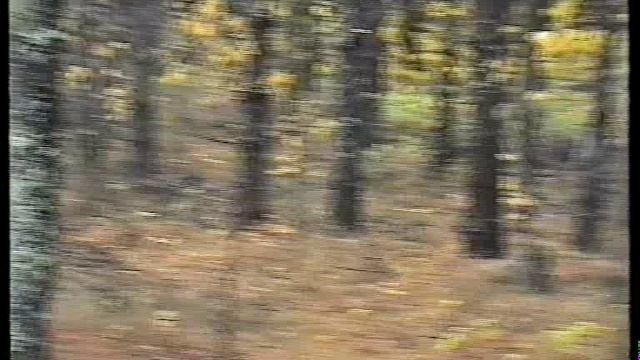 Жили Были Мы.  Все. Коля работает на лоджии.