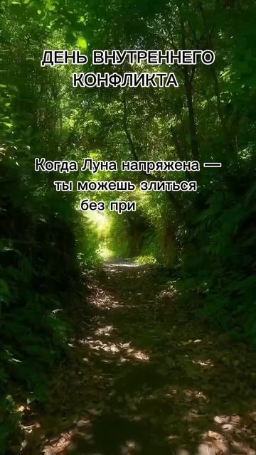 День внутреннего конфликта #7гроз #веды #нумерология #астрология #магиячисел