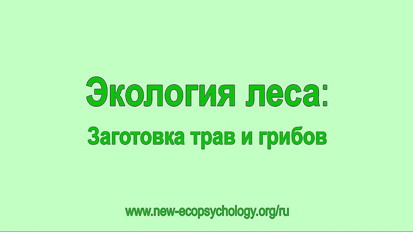 ЭКОЛОГИЯ ЛЕСА: заготовка трав и грибов. 2018 (Rem)