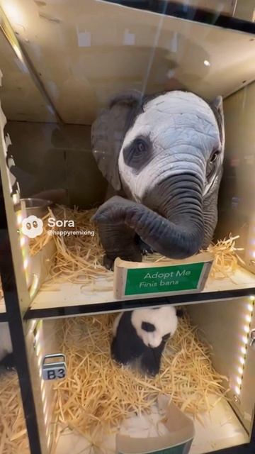 Автомат с пандами #sora2 #ai #sora #ии