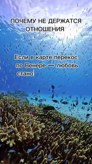 Почему не держатся отношения #7гроз #веды #нумерология #астрология #магиячисел