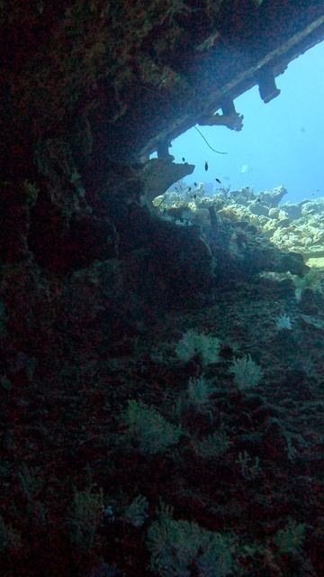 Рэк-дайвинг, дайвинг в Хургаде, дайвинг в Египте