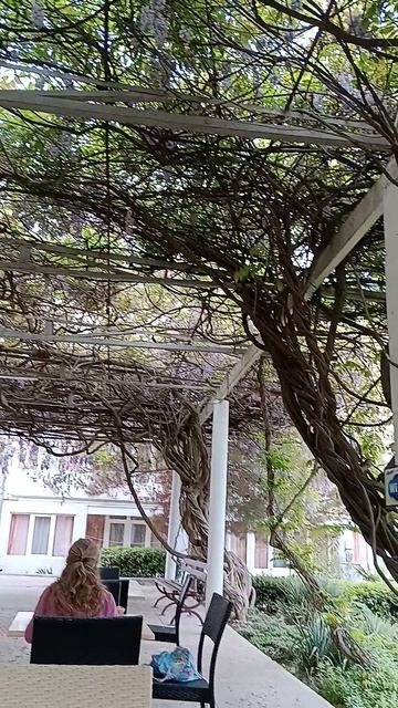 сюжет 2025, Крым,