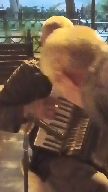 сюжет 2025, музыка, набнрежная, Алушта, Прощание Славянки,