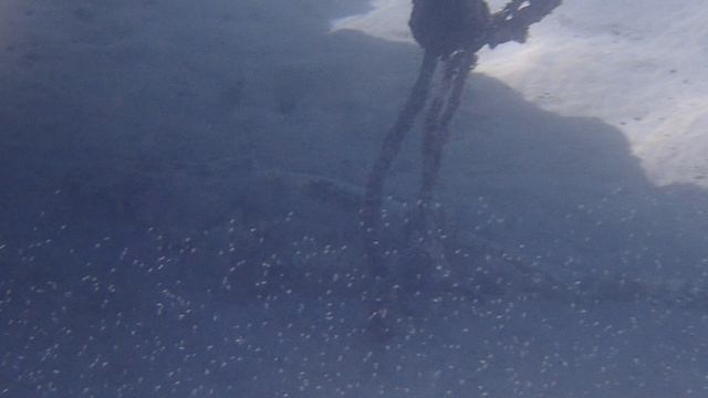 "хирург" на страже (а внизу дрыхнет "крокодил")