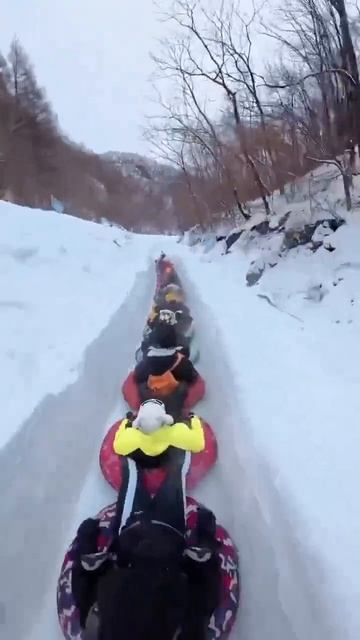 Радуемся снегу