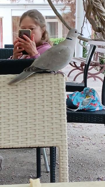 Крым, сюжет