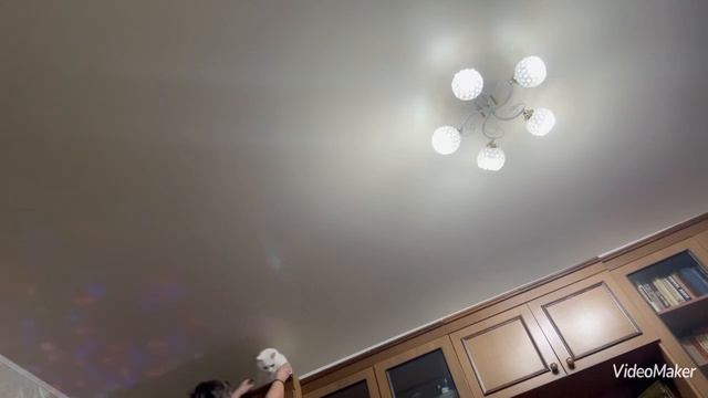 VID_20260новые приключения Мальчика, придумывает себе развлечения