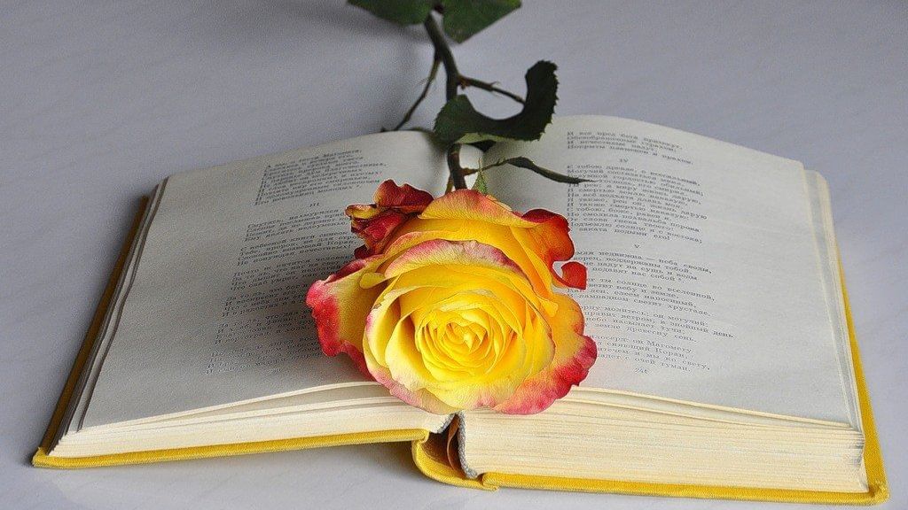 Мне нравилось тебя уметь любить..