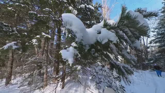 Прогулка по Хехциру 2026-02-01