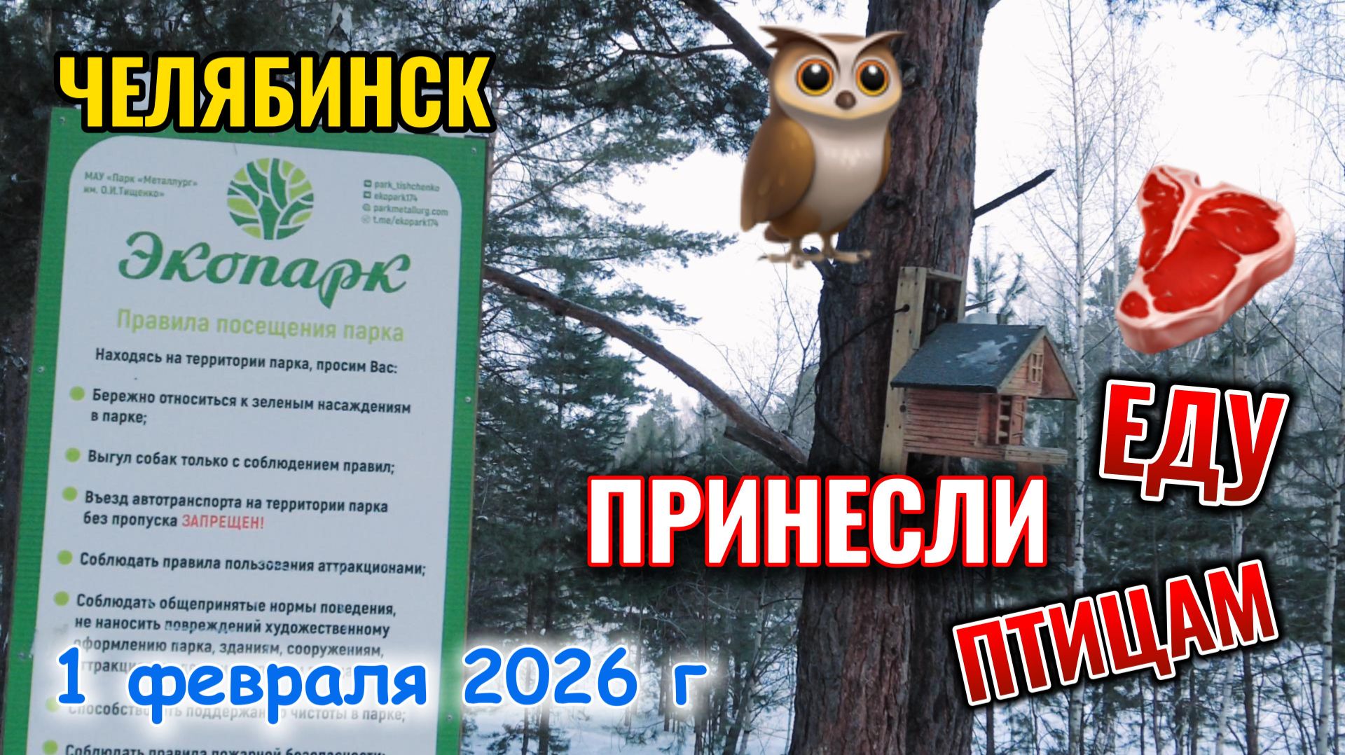 Принесли еду для птиц в Экопарк 1 февраля 2026 г