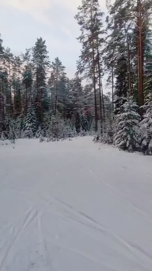 Зеленогорск. Где прогуляться на лыжах?