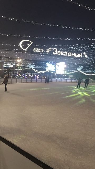Липецк Каток у ДС Звездный 28012026