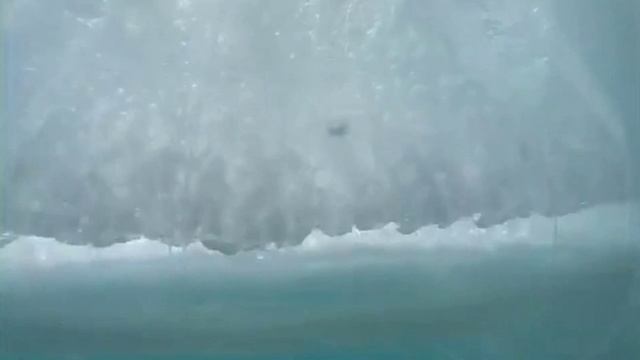 Песня на мои стихи. Света белого не видать. Музыка и исполнение Виктор Бекк