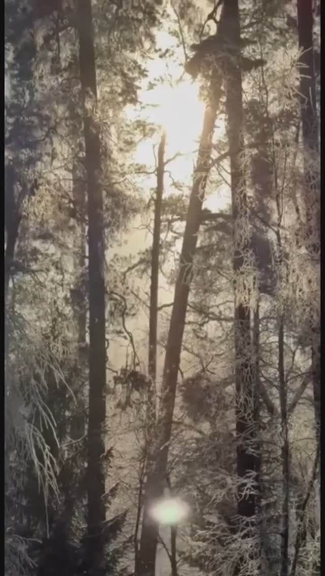 Любовь в земных делах #вечнаялюбовь  #цитатыолюбви #цитаты_о_любви #вечная_любовь