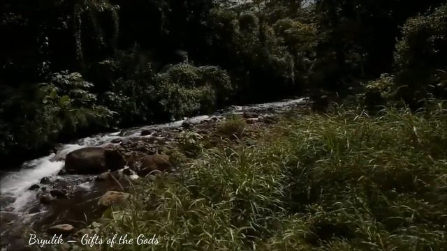 Bryulik - Gifts of the Gods