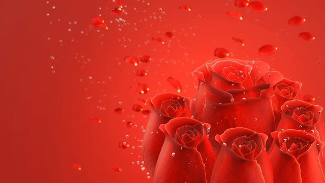 Царство роз