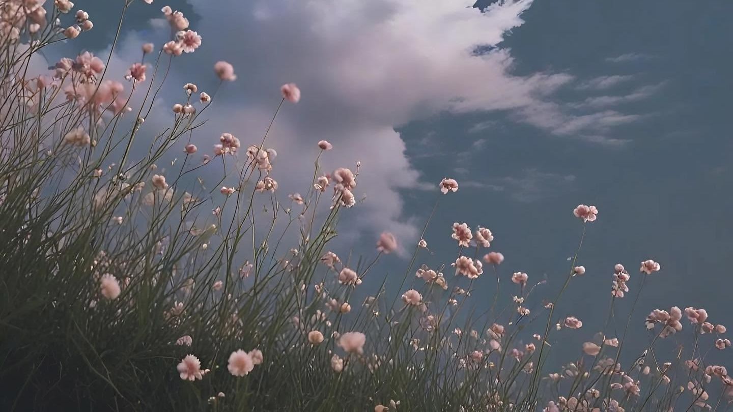 neena-swim-resort-2022