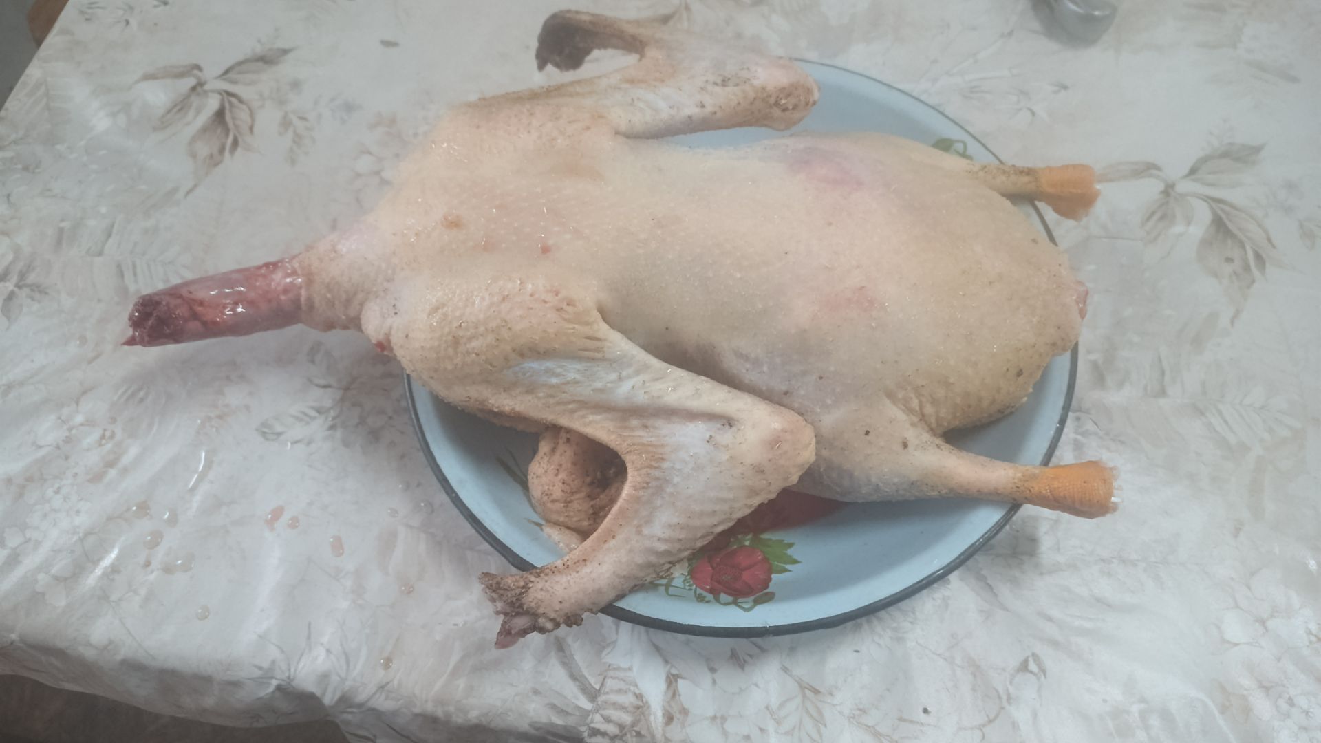 Как мы щиплем гусей без дорогого оборудования.