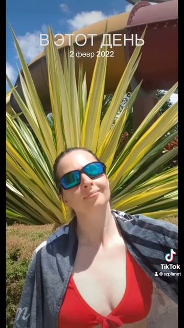 Кенгуру и Парк развлечений в Квинсленде. Австралия 🇦🇺 #кенгуру #австралия