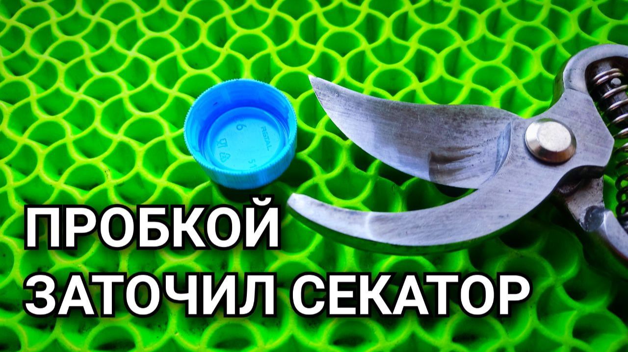 КАК ЗАТОЧИТЬ СЕКАТОР С ПОМОЩЬЮ ПРОБКИ