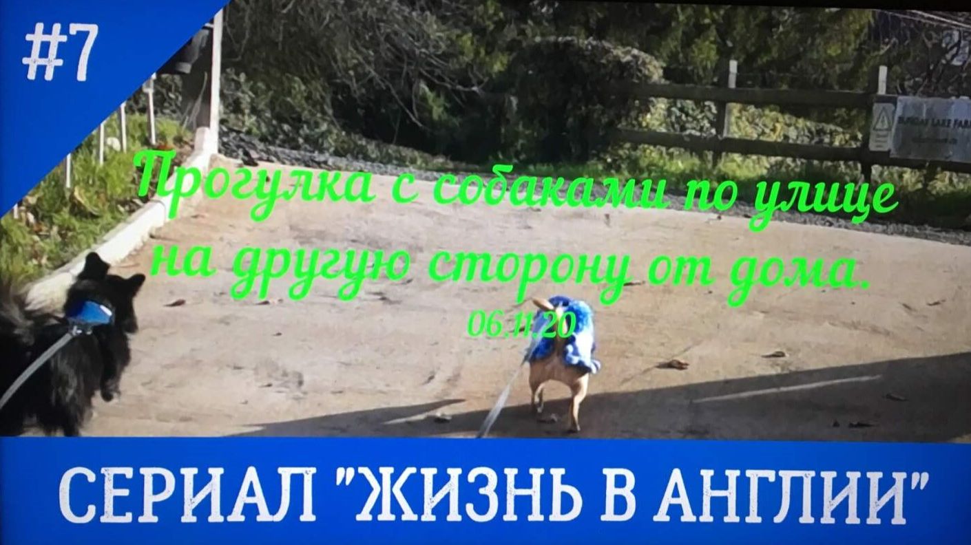 Прогулка с собаками по дороге от нашего дома в сторону центра Бромсгрова. № 7 Жизнь в Англии.