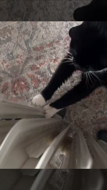 Февраль наступил...