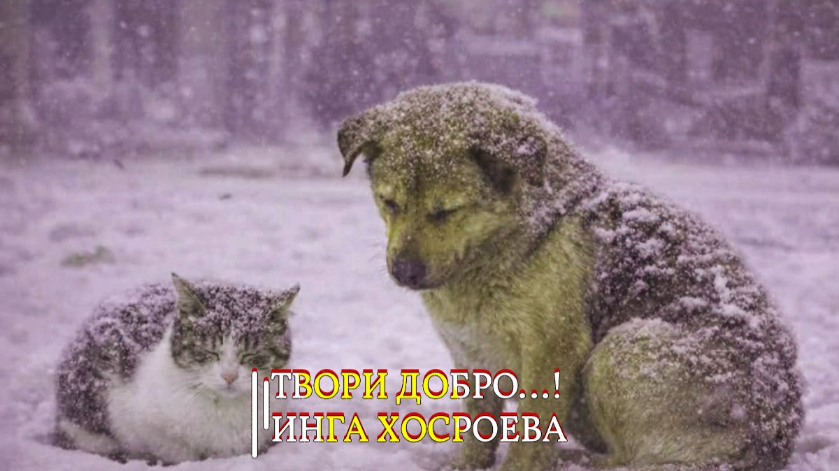 ТВОРИ ДОБРО...!