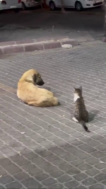 А нечего расслабляться